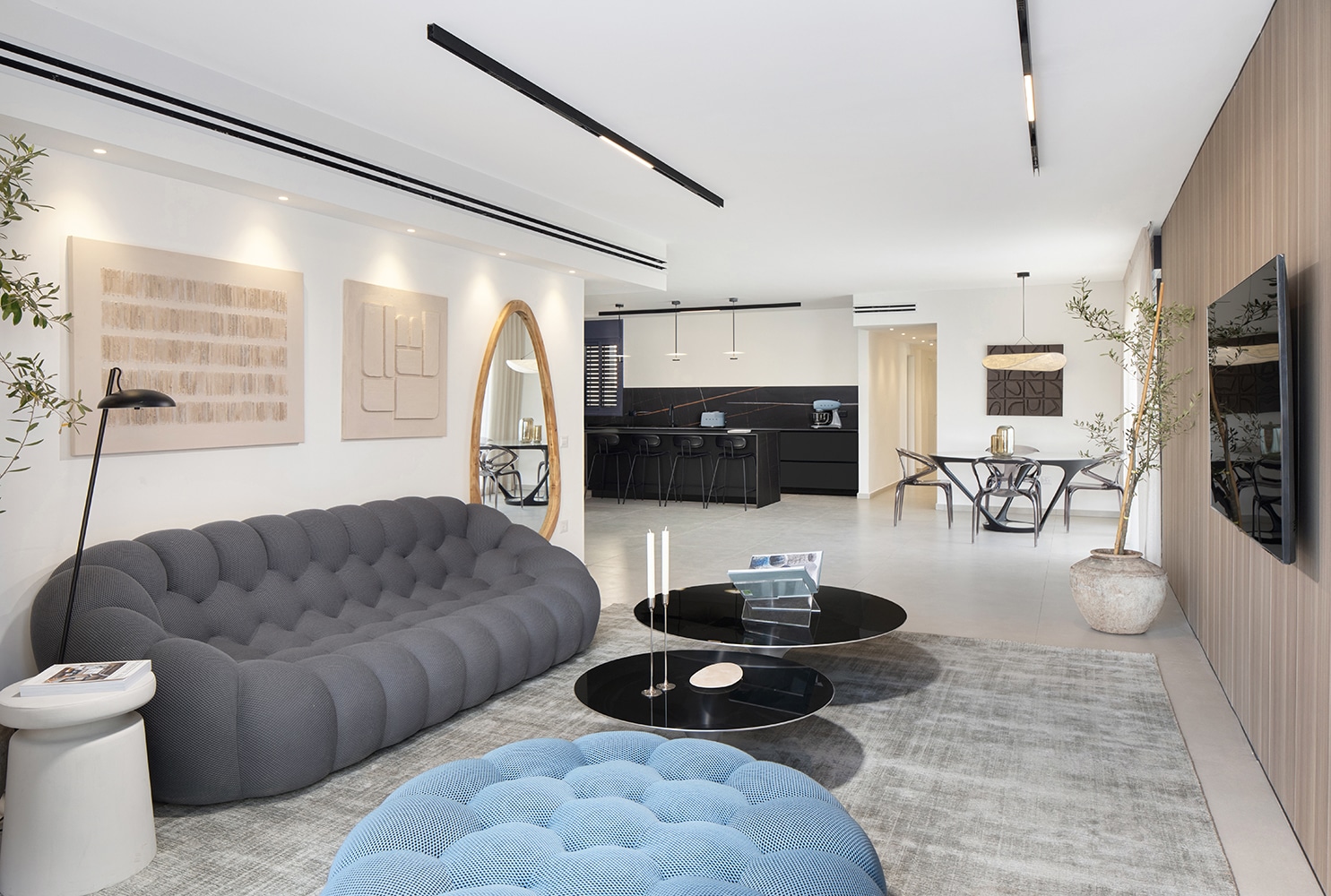 Shaviro Model Apartment - Pitaro Hecht